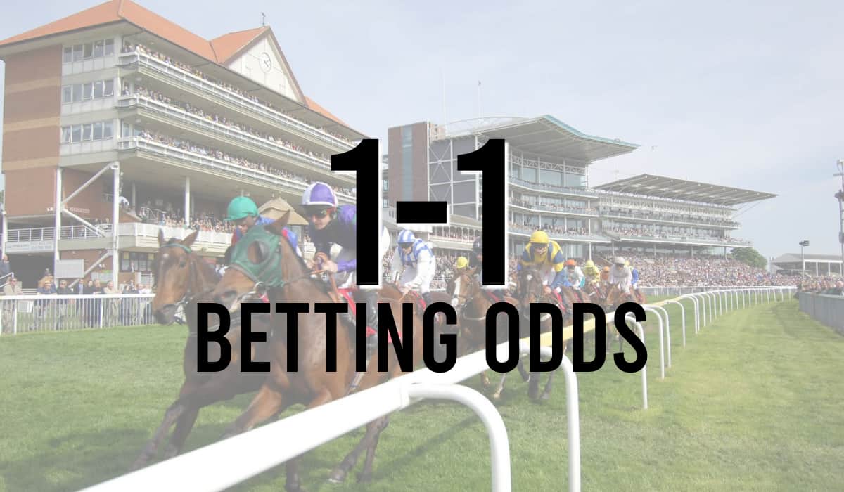 8 1 Betting Odds What Do Odds Of 8 To 1 Mean 