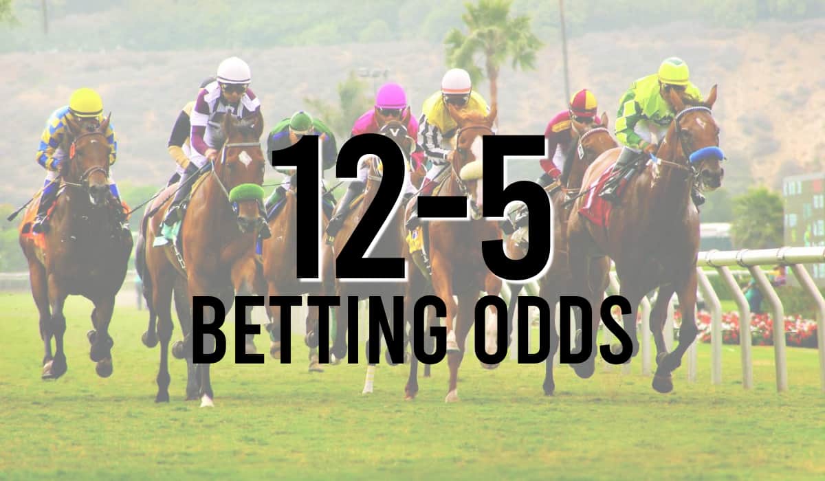 8 1 Betting Odds What Do Odds Of 8 To 1 Mean 