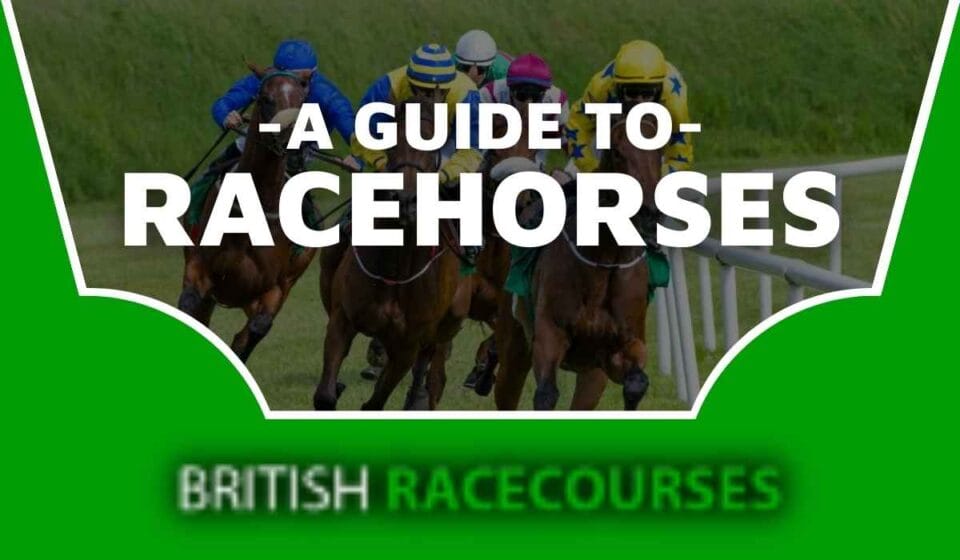 A Guide to Racehorses - British Racecourses