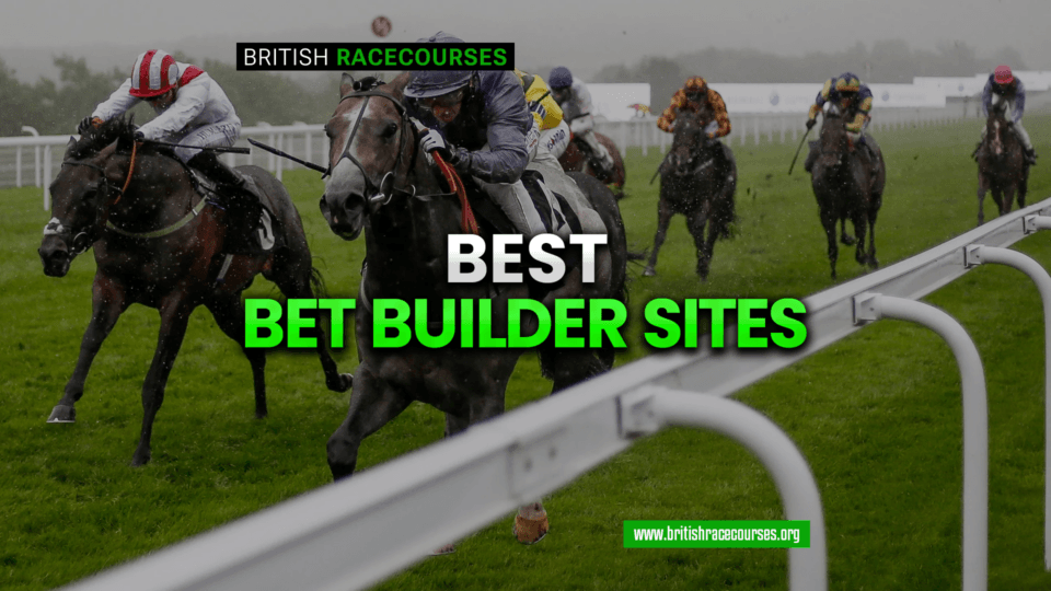 Horse Racing Bet Types | A Guide to All Bet Types April 2025