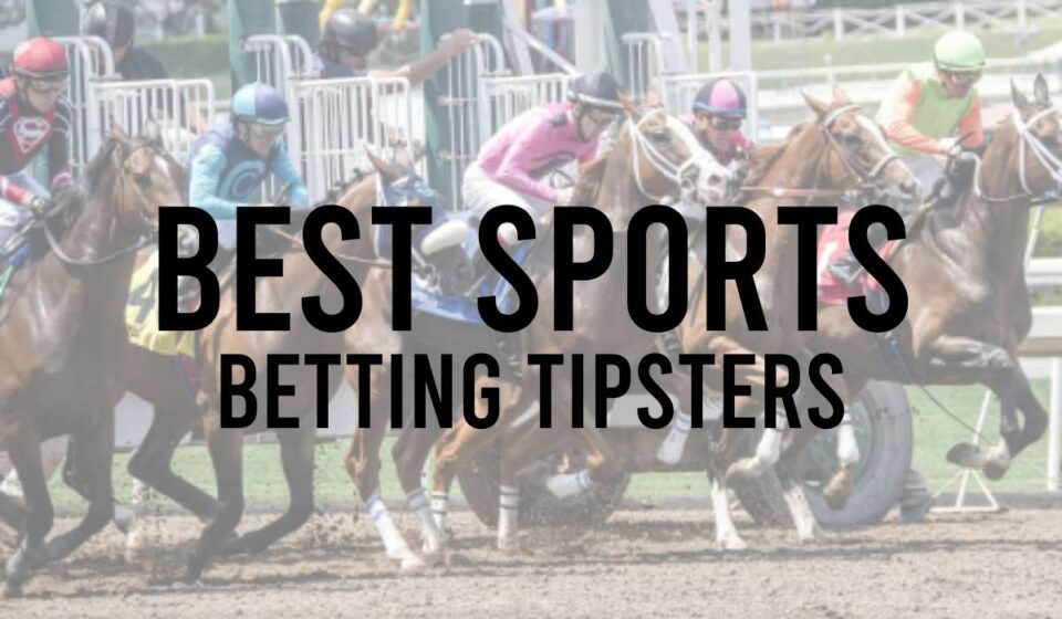 David Dooley Tips: #1 Horse Racing Expert in UK David Dooley Tips: #1 Horse Racing Expert in UK