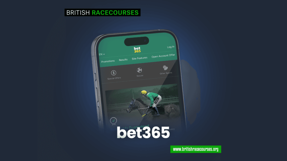 bet365 Stats | Latest Statistics on bet365 May 2025