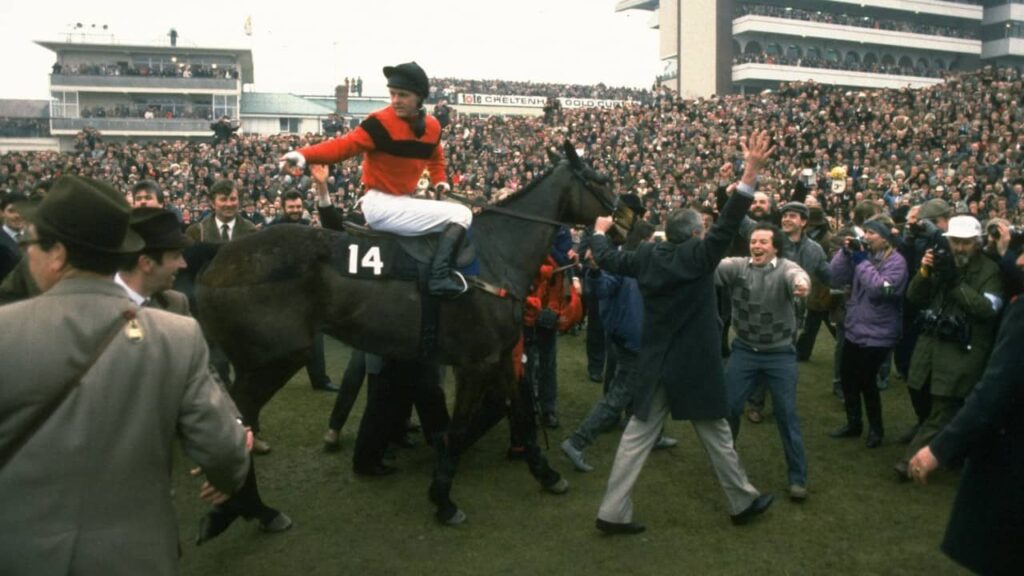 Champion Hurdle 2026: Betting Odds and Runners for Cheltenham Festival