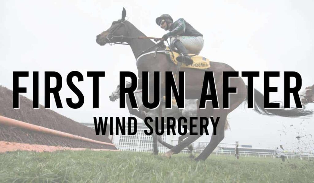 First Run After Wind Surgery: Horse Racing Success Guide