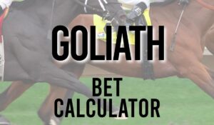 Bet Calculator | Calculate Your Bet Winnings Now for Free