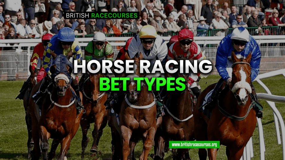 rule-4-deductions-horse-racing-rule-4-calculator