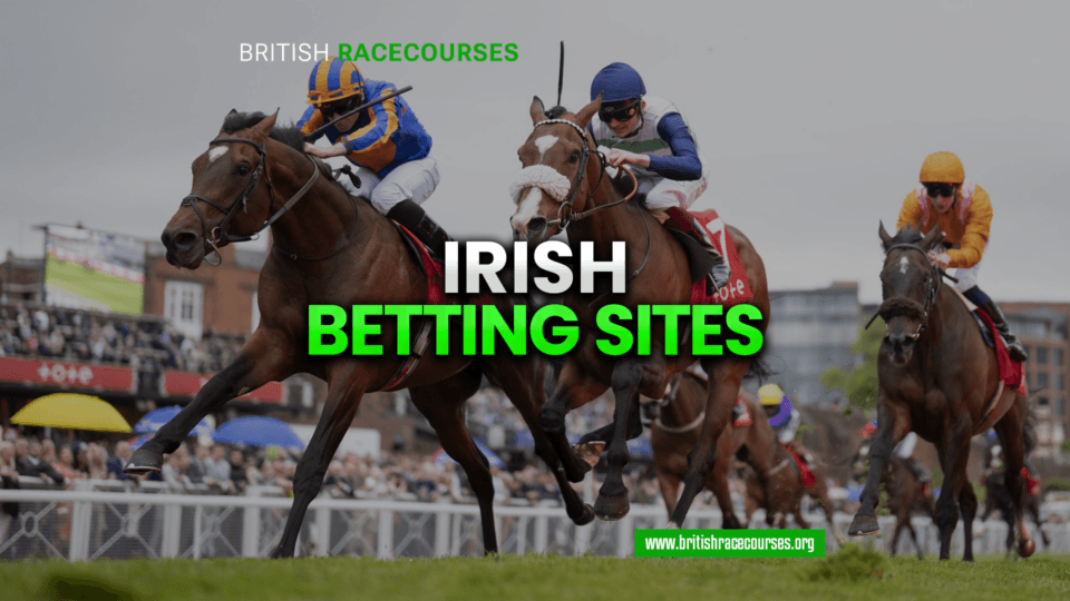 Horse Racing Bet Types | A Guide to All Bet Types April 2025