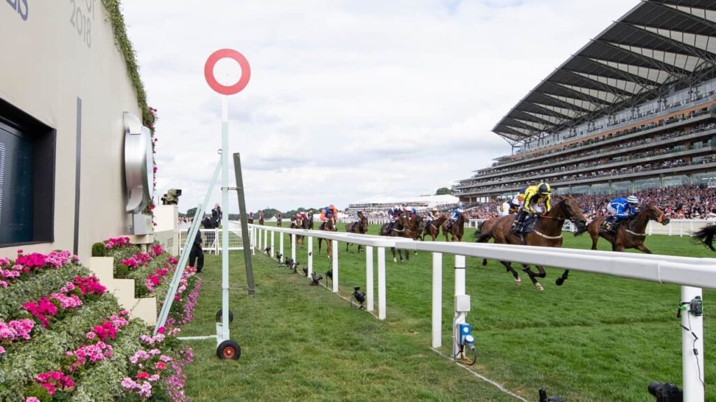 Picking a Winning Horse | In Depth Guide To Picking A Winner 2025