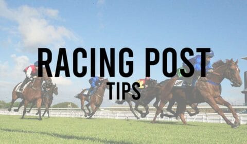 Templegate Tips - The Sun Horse Racing Tipster