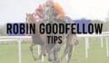 Templegate Tips - The Sun Horse Racing Tipster
