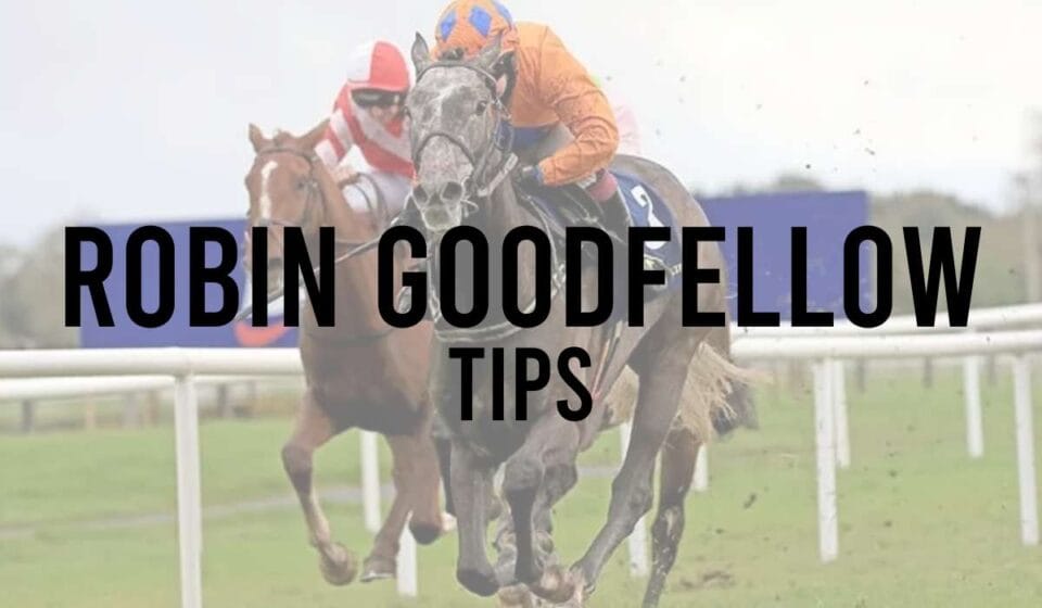 Templegate Tips - The Sun Horse Racing Tipster